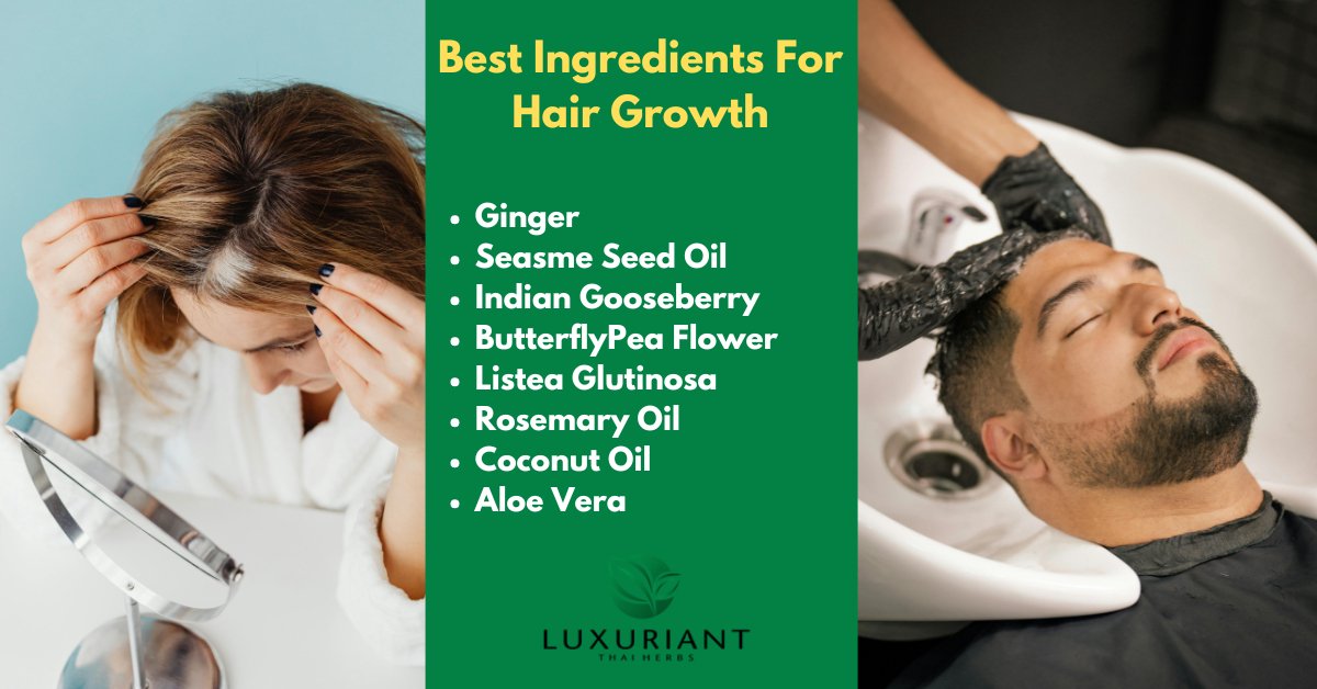 Top 5 Best Ingredients for Hair Growth – Get Thicker Hair Naturally ...